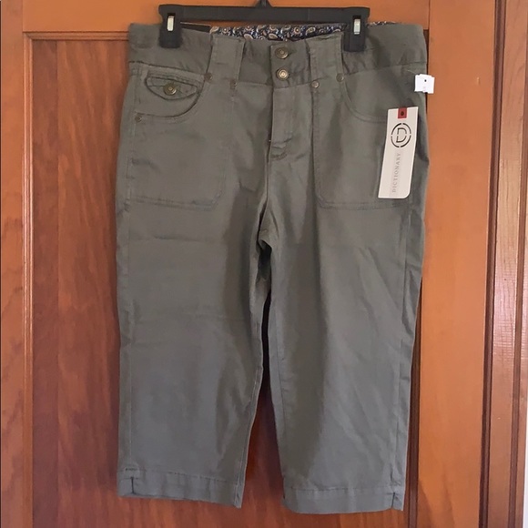 Dictionary | Pants & Jumpsuits | Nwt Dictionary Capris From Stitchfix ...